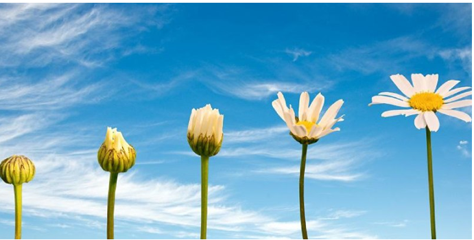 CBSE Class 6 Science Notes Chapter 6 Changes Around Us