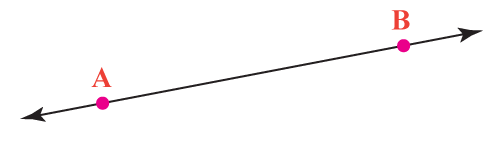 IMO Class 4 Chapter 6 Geometrical Concepts