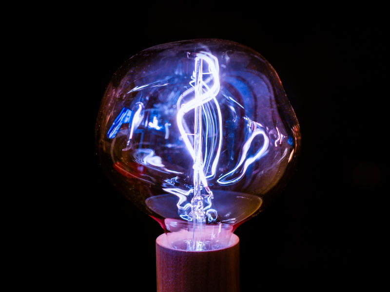 Class 2 science syllabus - NextGen Learners